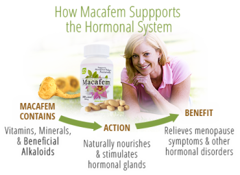 Why Macafem? - Menopause Support